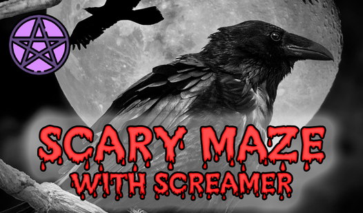 Scary maze with screamer — play on 𝐏𝐥𝐚𝐲𝐠𝐚𝐦𝐚 (by kbvpneofit)