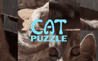 Cat Puzzle game play free online on Playgama