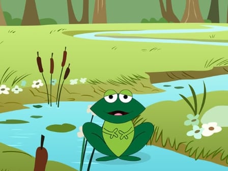 Feed the Frog game play free online on Playgama